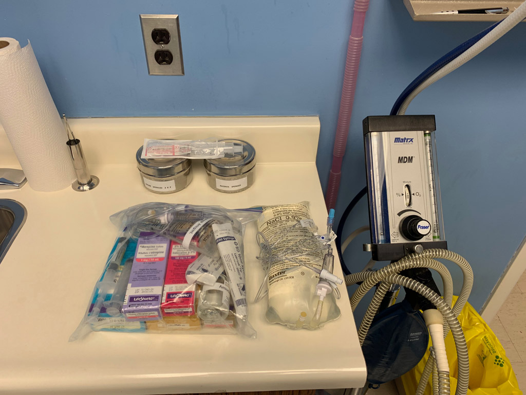 ACLS and PALS Courses | Heaven Can Wait